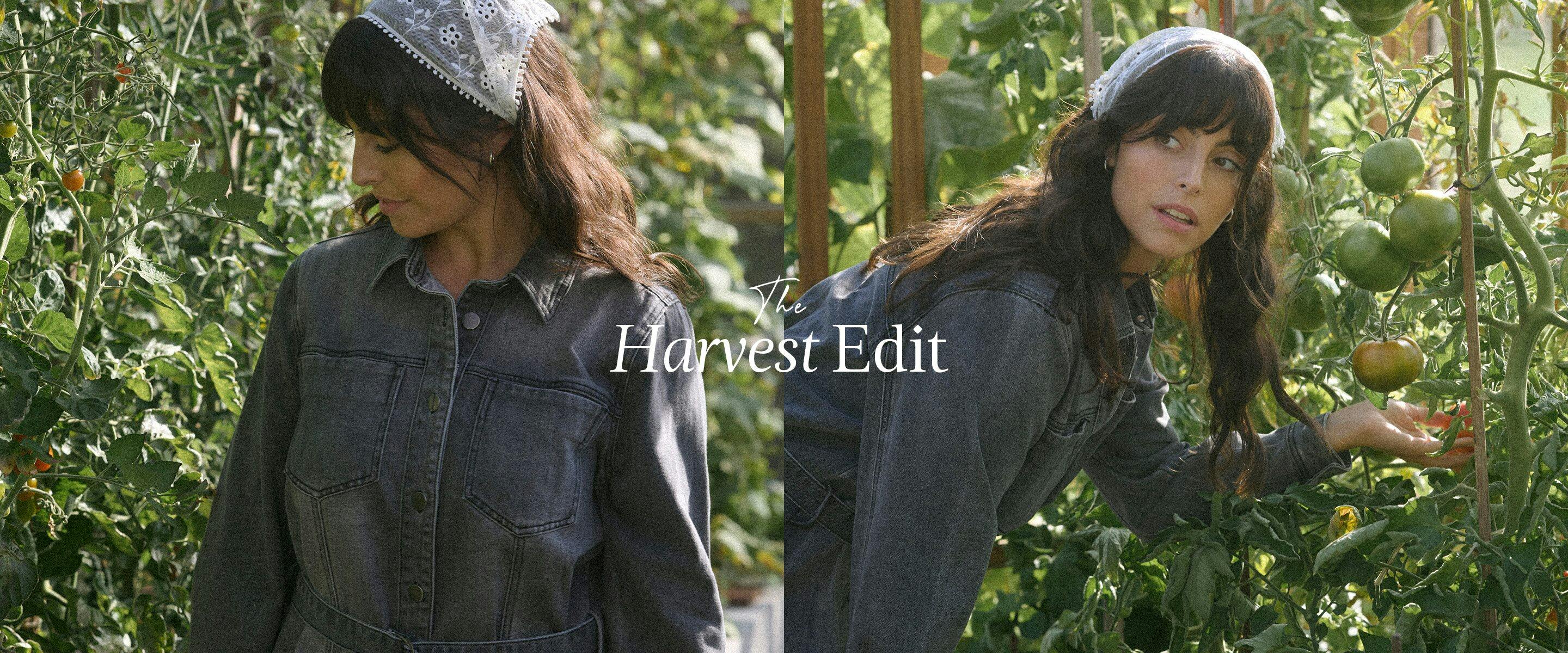 Plus size tøj fra KAFFE Curve | Shop tøj i store størrelser